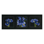 アートポスター（フレーム付）Iris Triptych Ⅱ - 株式会社大竹写真